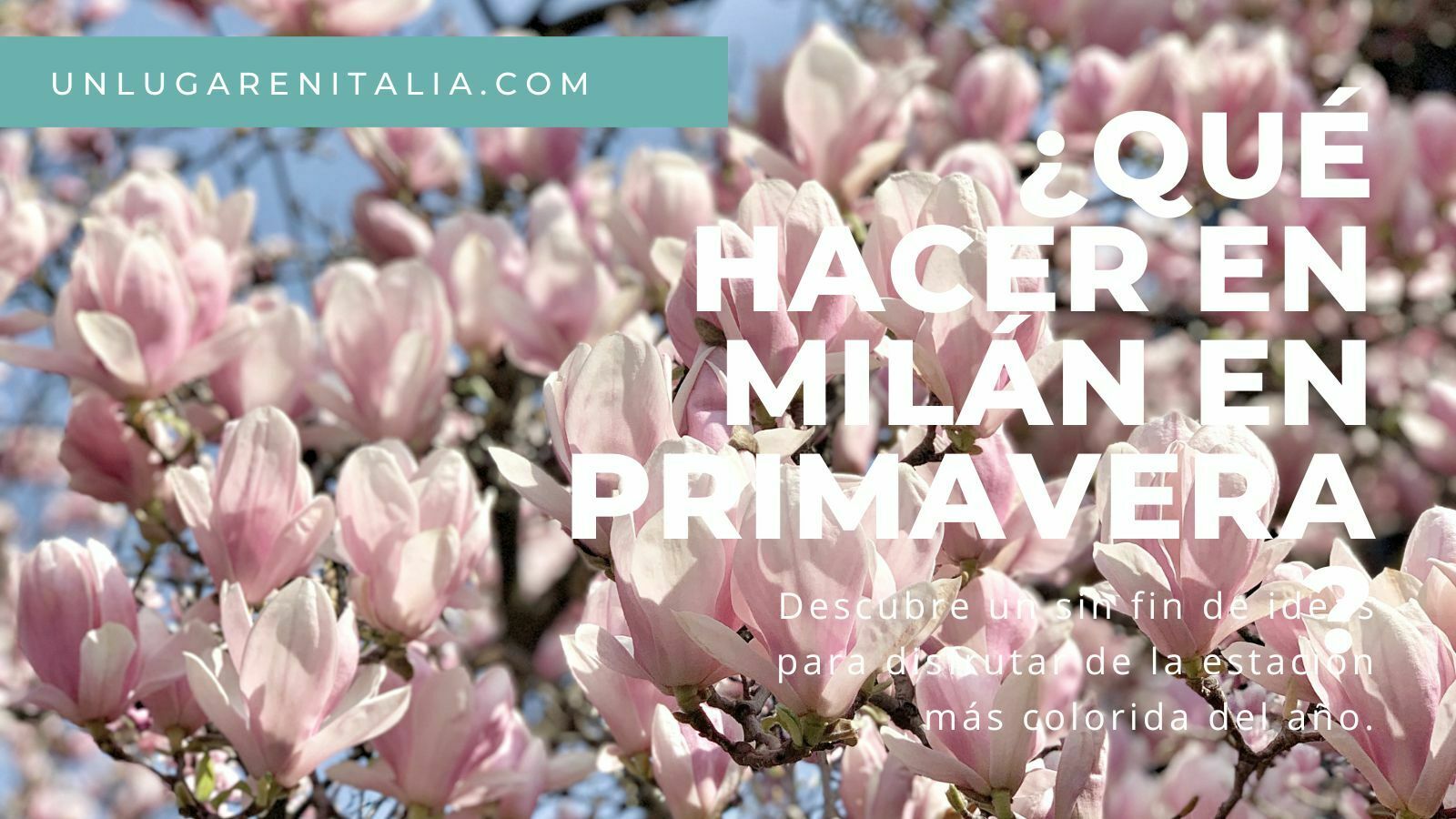 ¿Qué hacer en Milán en Primavera? | Un lugar en Italia